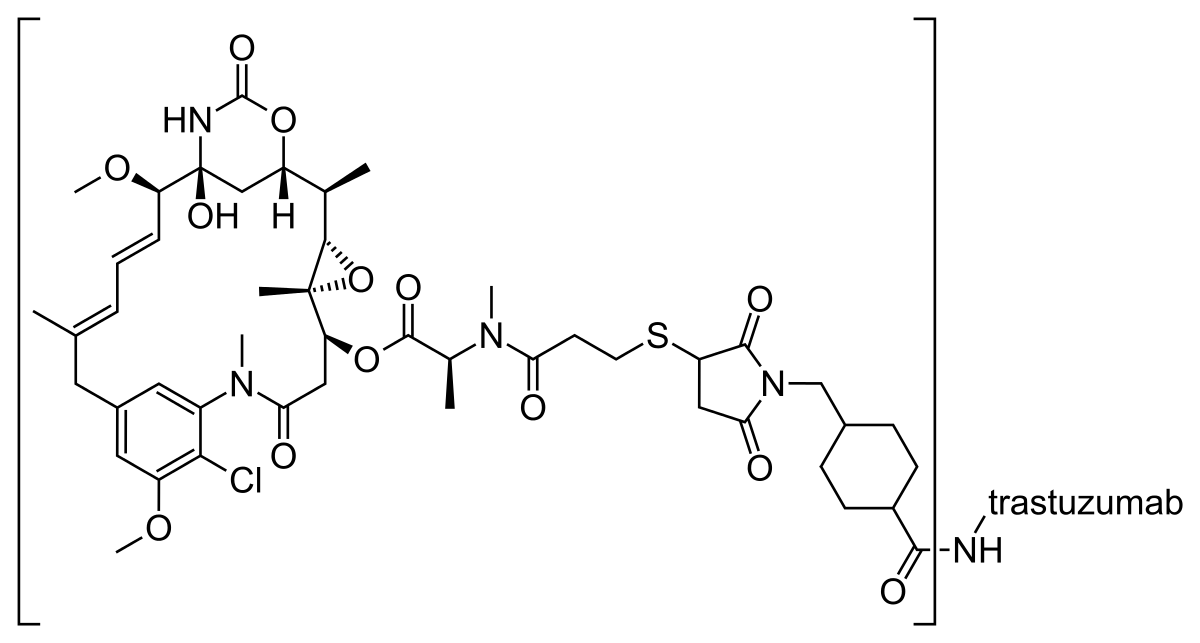 Trastuzumab Structure