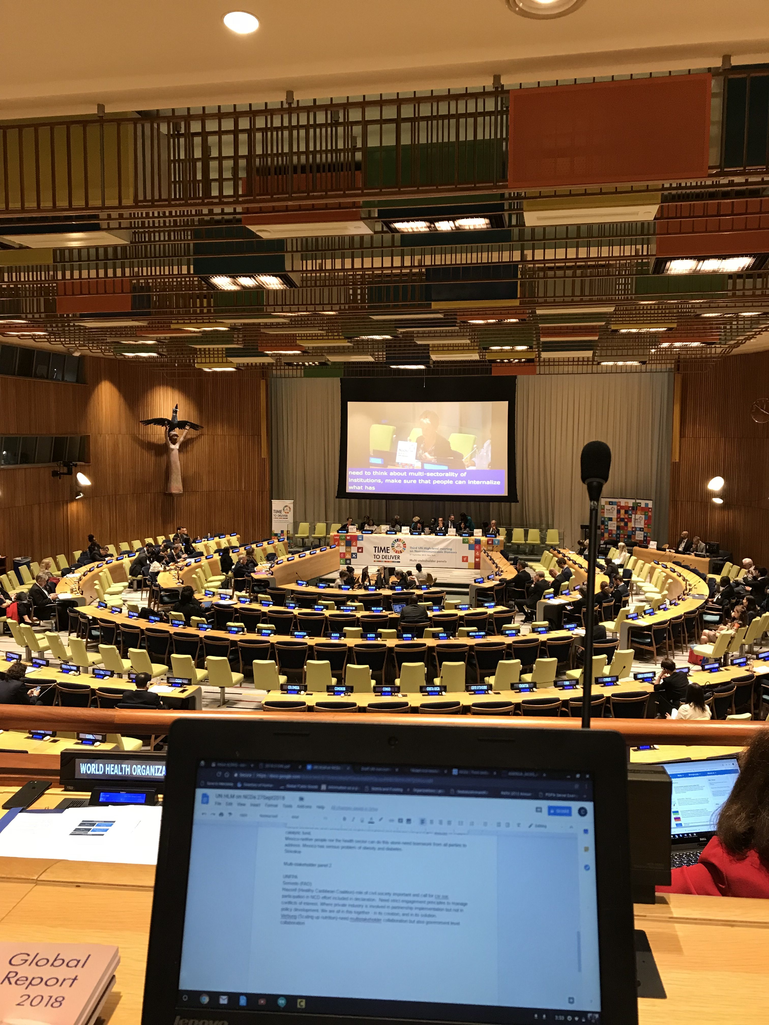 UN High-Level Meeting on Non-communicable Diseases - 27 September 2018 ...